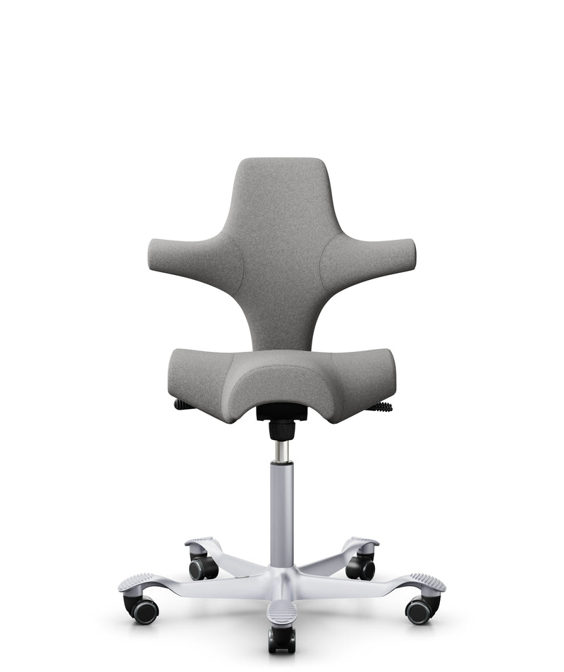HÅG Ergonomic Office Chair - Work From Home Office - Buy in Singapore ...